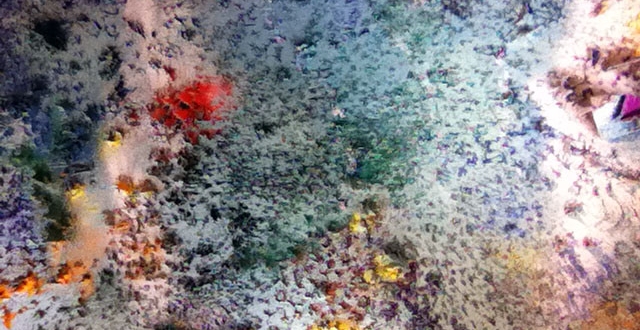 Potenciar la libertad interior | Revista RE Castellano